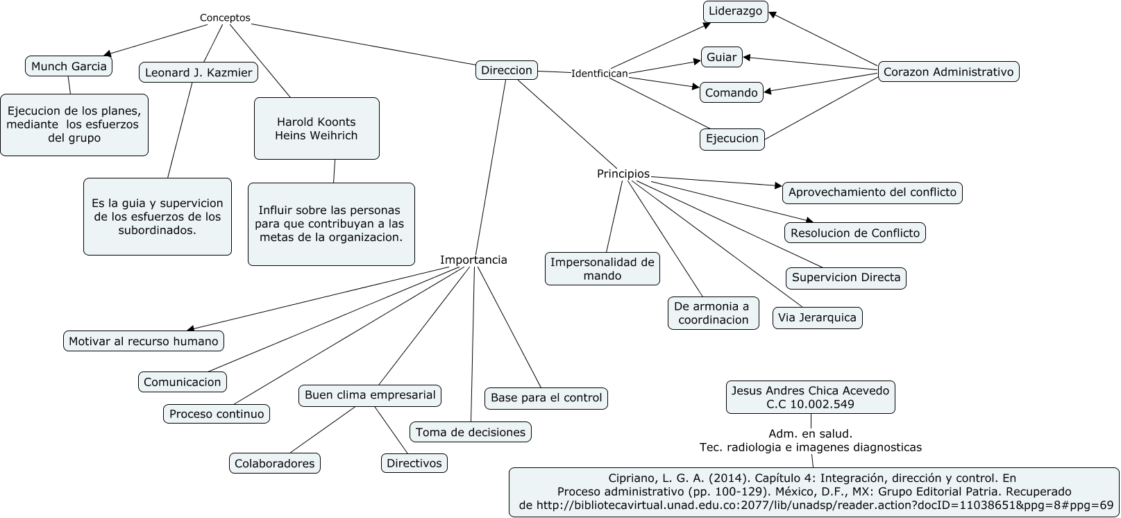 T4 DIRECCION - ADM EN SALUD T4
